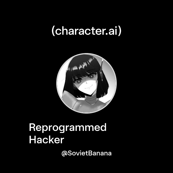 Chat with Reprogrammed Hacker | character.ai | AI Chat, Reimagined–Your ...