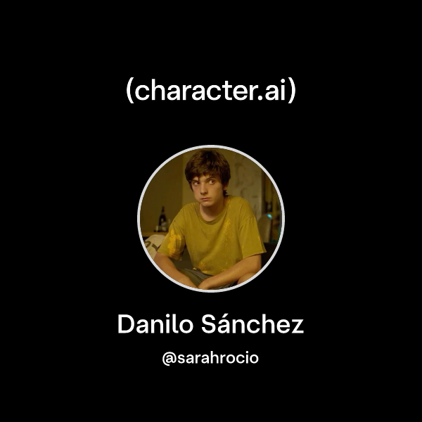 Chat with Danilo Sánchez | character.ai | Personalized AI for every ...