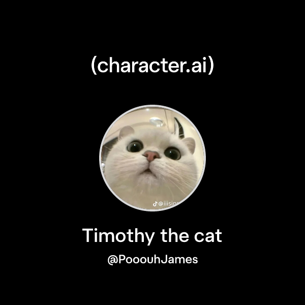 Chat with Timothy the cat | character.ai | AI Chat, Reimagined–Your ...