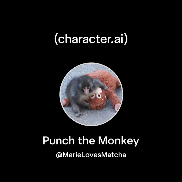 Chat with Punch the Monkey | character.ai | AI Chat, Reimagined–Your ...