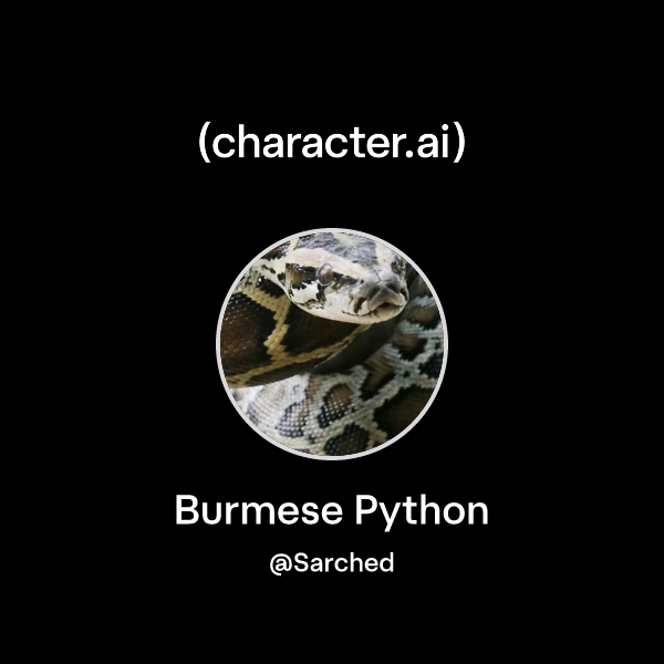 Chat with Burmese Python | character.ai | AI Chat, Reimagined–Your ...