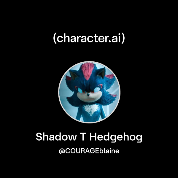Chat with Shadow T Hedgehog | character.ai | AI Chat, Reimagined–Your ...