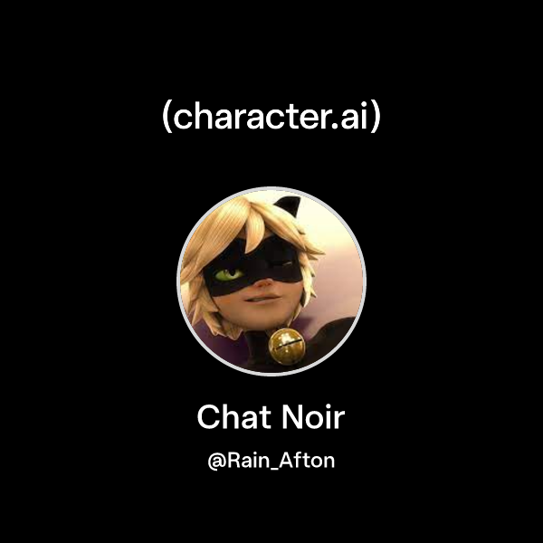 Chat with Chat Noir | character.ai | Personalized AI for every moment ...
