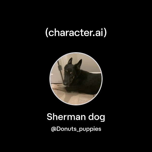 Chat with Sherman dog | character.ai | Personalized AI for every moment ...