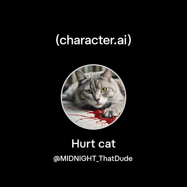 Chat with Hurt cat | character.ai | Personalized AI for every moment of ...
