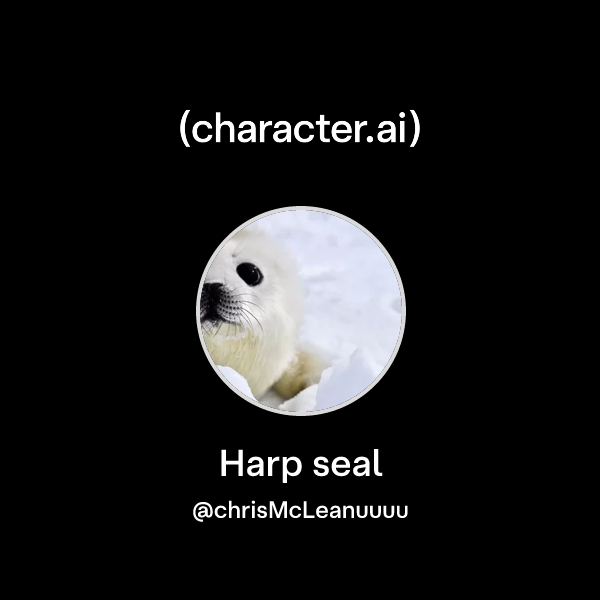 Chat with Harp seal | character.ai | Personalized AI for every moment ...