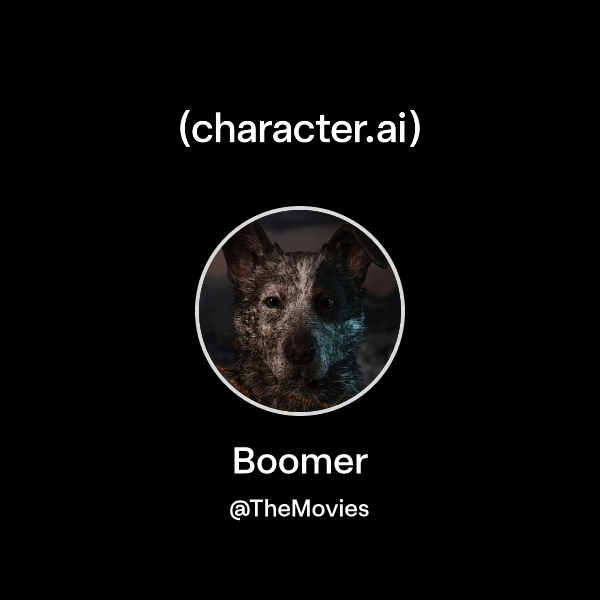 Chat with Boomer | character.ai | Personalized AI for every moment of ...
