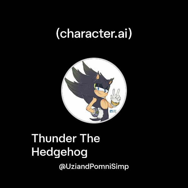 Chat with Thunder The Hedgehog | character.ai | AI Chat, Reimagined ...