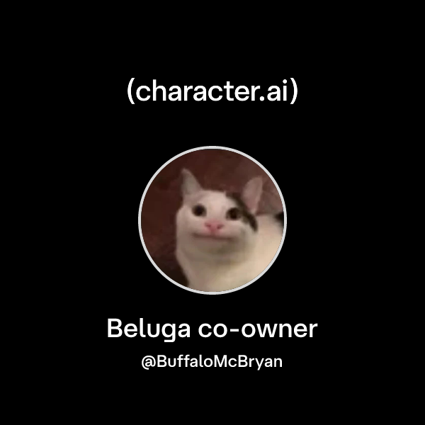 Chat with Beluga co-owner | character.ai | Personalized AI for every ...