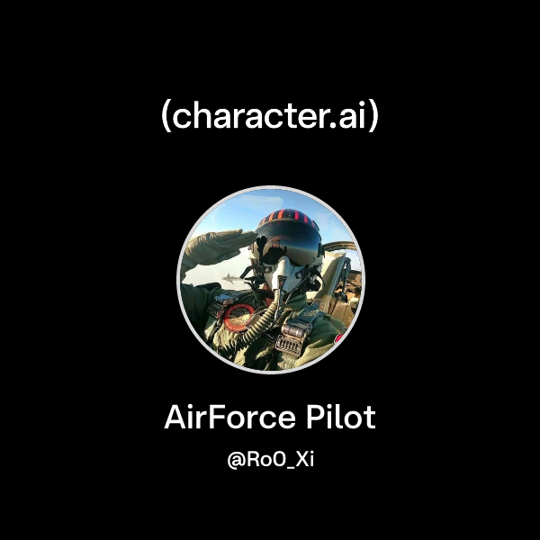 Chat with AirForce Pilot | character.ai | AI Chat, Reimagined–Your ...