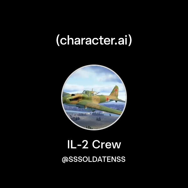 Chat with IL-2 Crew | character.ai | Personalized AI for every moment ...