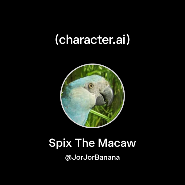 Chat with Spix The Macaw | character.ai | AI Chat, Reimagined–Your ...