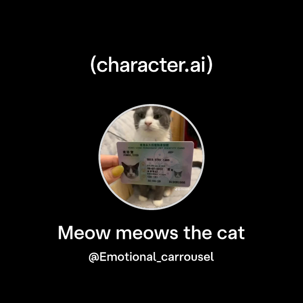 Chat with Meow meows the cat | character.ai | Personalized AI for every ...