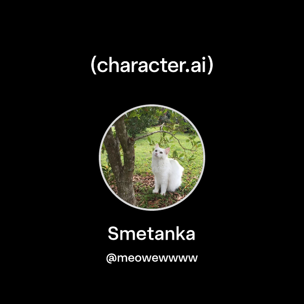 Chat with Smetanka | character.ai | AI Chat, Reimagined–Your Words. Your World.