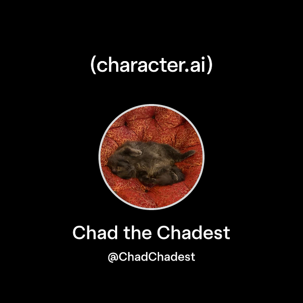 Chat with Chad the Chadest | character.ai | Personalized AI for every ...