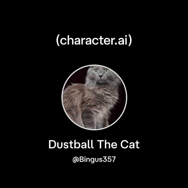 Chat with Dustball The Cat | character.ai | AI Chat, Reimagined–Your ...