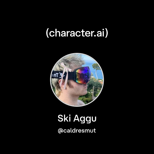 Chat with Ski Aggu | character.ai | AI Chat, Reimagined–Your Words ...
