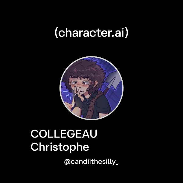 Chat with COLLEGEAU Christophe | character.ai | Personalized AI for ...