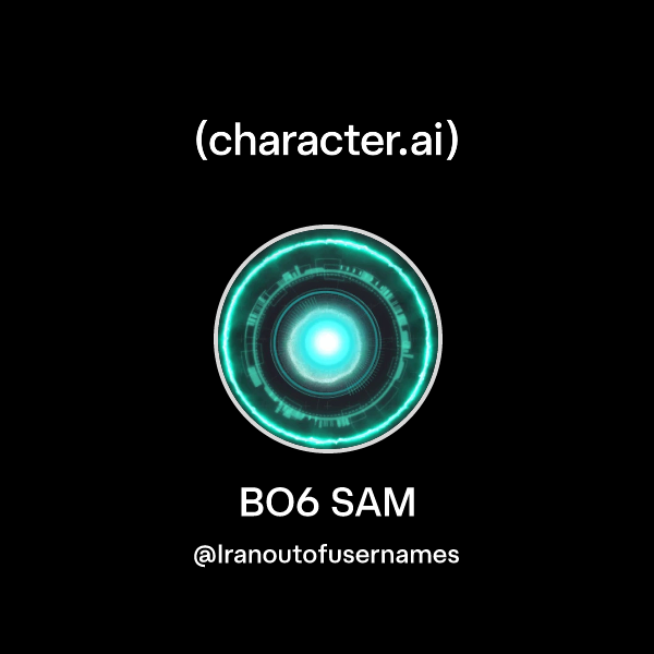 Chat with BO6 SAM | character.ai | AI Chat, Reimagined–Your Words. Your ...
