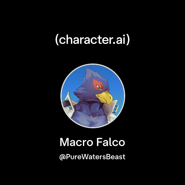Chat with Macro Falco | character.ai | Personalized AI for every moment ...
