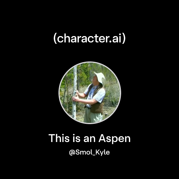 Chat with This is an Aspen | character.ai | AI Chat, Reimagined–Your ...