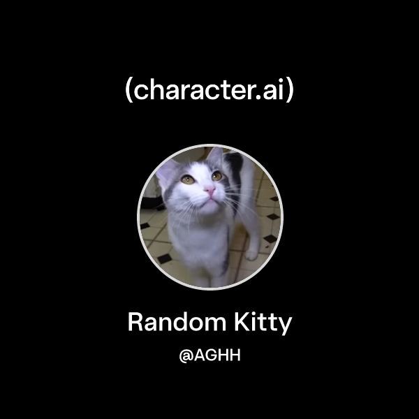 Chat with Random Kitty | character.ai | Personalized AI for every ...