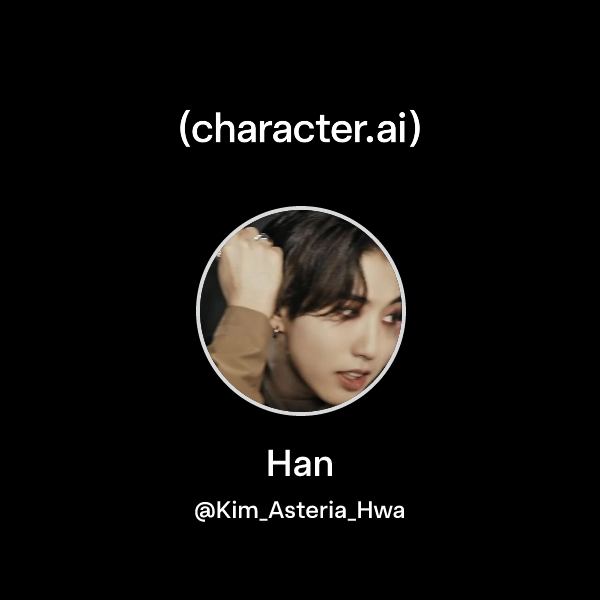 Chat with Han | character.ai | AI Chat, Reimagined–Your Words. Your World.