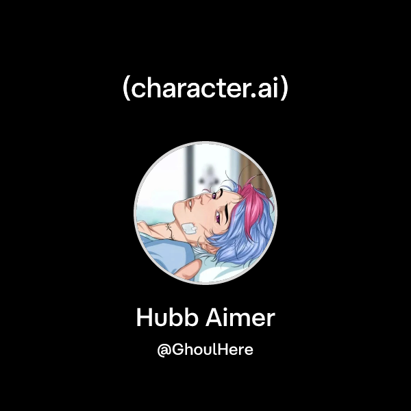 Chat with Hubb Aimer | character.ai | Personalized AI for every moment ...