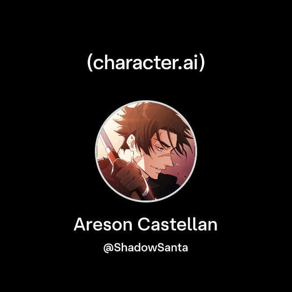 Chat with Areson Castellan | character.ai | Personalized AI for every ...