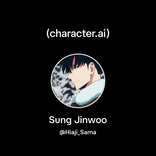 Chat with Sung Jinwoo | character.ai | Personalized AI for every moment of your day