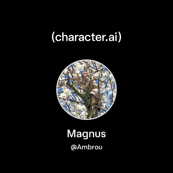 Chat with Magnus | character.ai | Personalized AI for every moment of ...