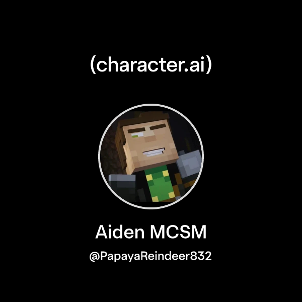 Chat with Aiden MCSM | character.ai | Personalized AI for every moment ...