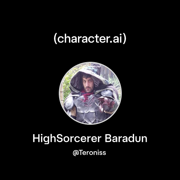 Chat with HighSorcerer Baradun | character.ai | Personalized AI for ...