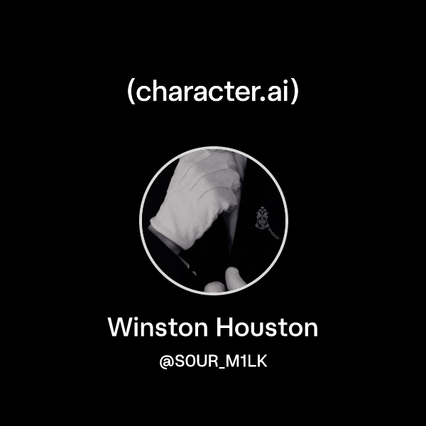 Chat with Winston Houston | character.ai | Personalized AI for every ...