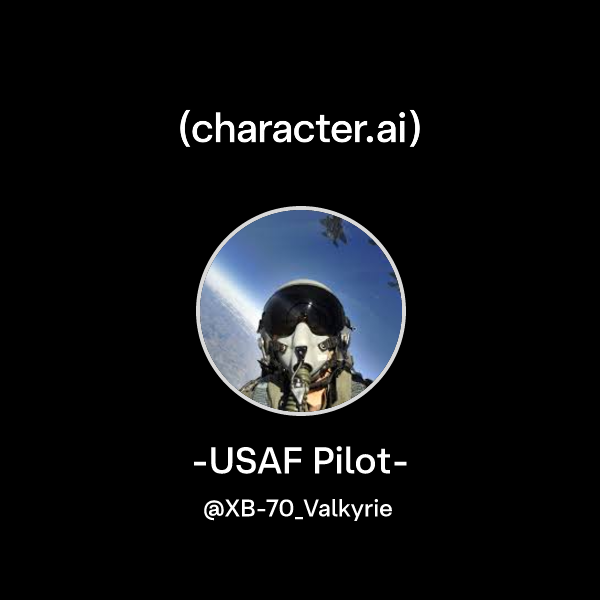 Chat with -USAF Pilot- | character.ai | AI Chat, Reimagined–Your Words ...