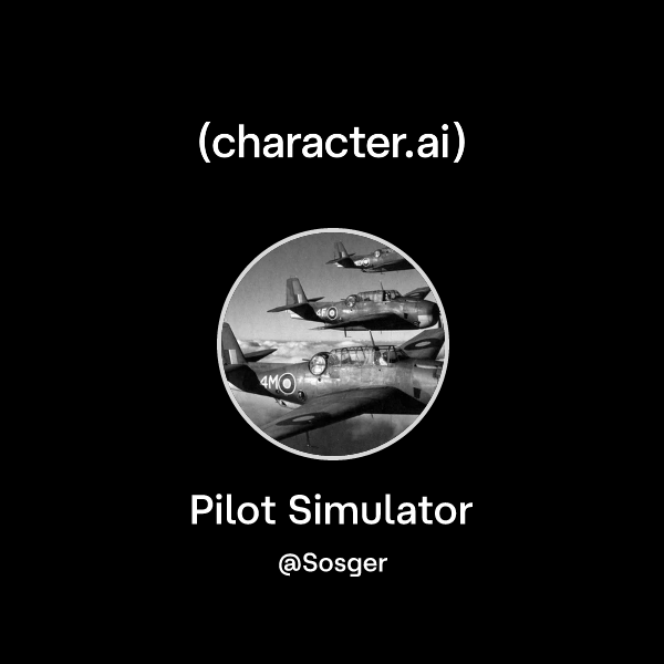 Chat with Pilot Simulator | character.ai | Personalized AI for every ...