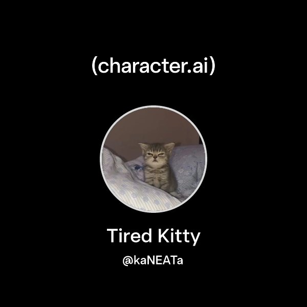 Chat with Tired Kitty | character.ai | Personalized AI for every moment of your day