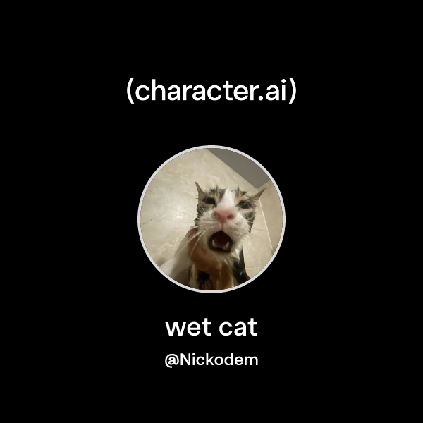 Chat with wet cat | character.ai | AI Chat, Reimagined–Your Words. Your ...
