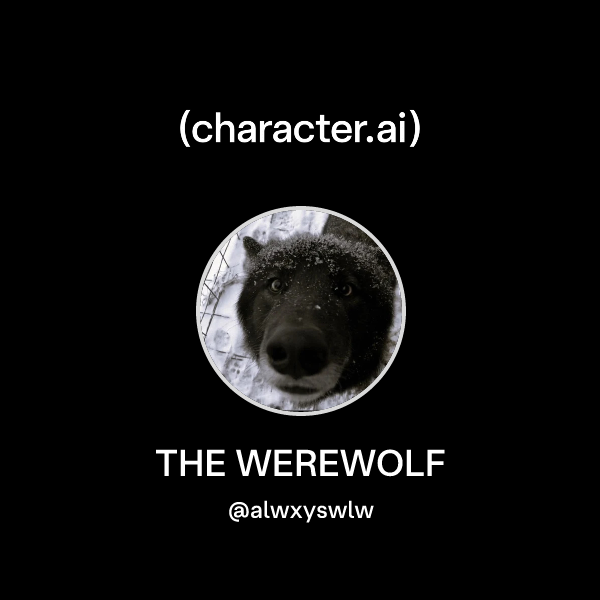 Chat with THE WEREWOLF | character.ai | AI Chat, Reimagined–Your Words ...