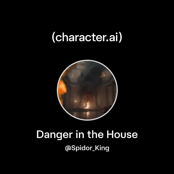 Chat with Danger in the House | character.ai | AI Chat, Reimagined–Your ...
