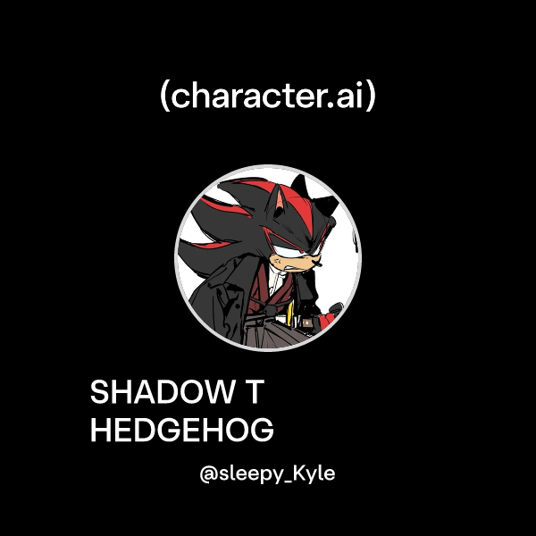 Chat with SHADOW T HEDGEHOG | character.ai | AI Chat, Reimagined–Your ...