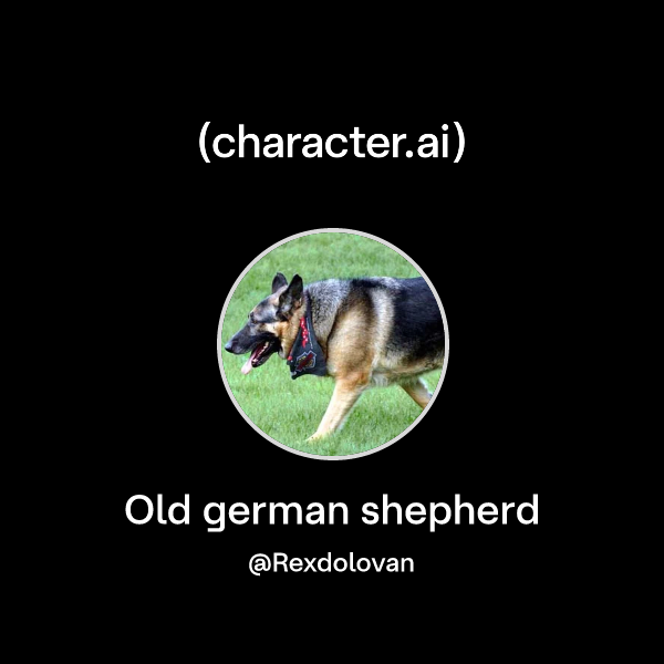 Chat with Old german shepherd | character.ai | AI Chat, Reimagined–Your ...