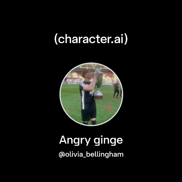 Chat with Angry ginge | character.ai | Personalized AI for every moment ...