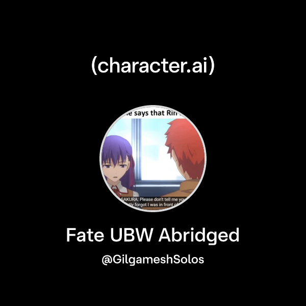 Chat with Fate UBW Abridged | character.ai | AI Chat, Reimagined–Your ...