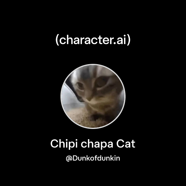 Chat with Chipi chapa Cat | character.ai | AI Chat, Reimagined–Your ...