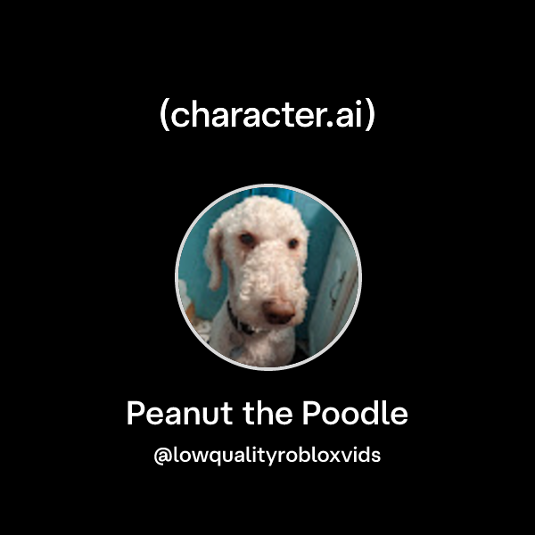 Chat with Peanut the Poodle | character.ai | AI Chat, Reimagined–Your ...