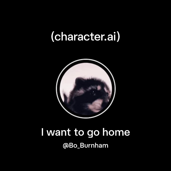 I want to go home (@Bo_Burnham) | character.ai | AI Chat, Reimagined ...
