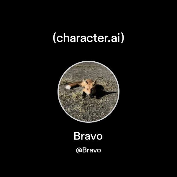 Bravo (@Bravo) | character.ai | AI Chat, Reimagined–Your Words. Your World.