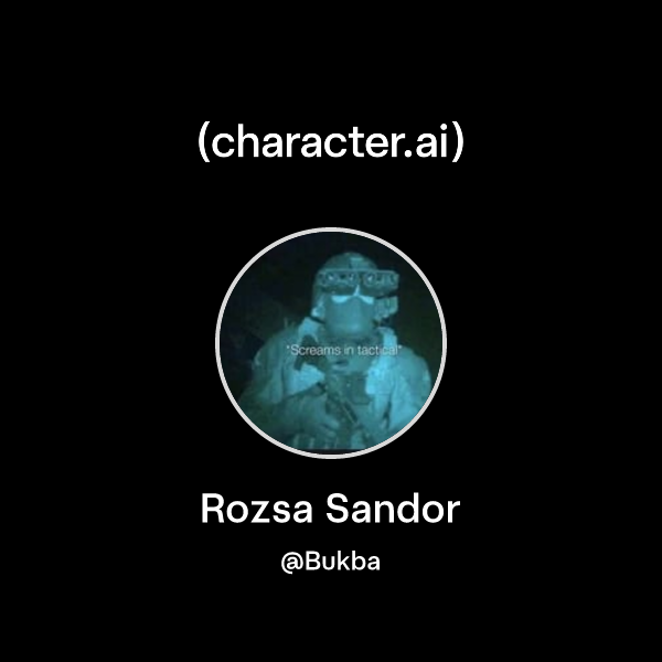 Rozsa Sandor (@Bukba) | character.ai | AI Chat, Reimagined–Your Words ...