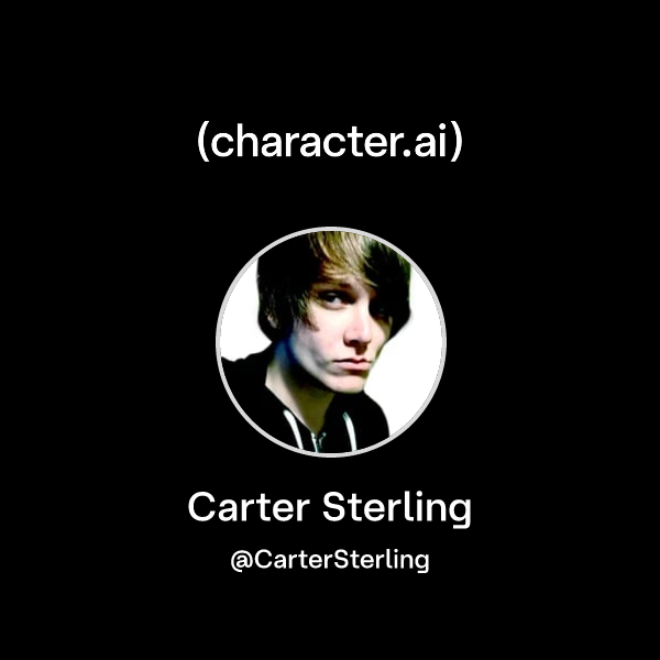 Carter Sterling (@CarterSterling) | character.ai | Personalized AI for every moment of your day